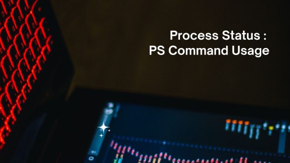 Process Status : PS Command Usage | Server Management Tips